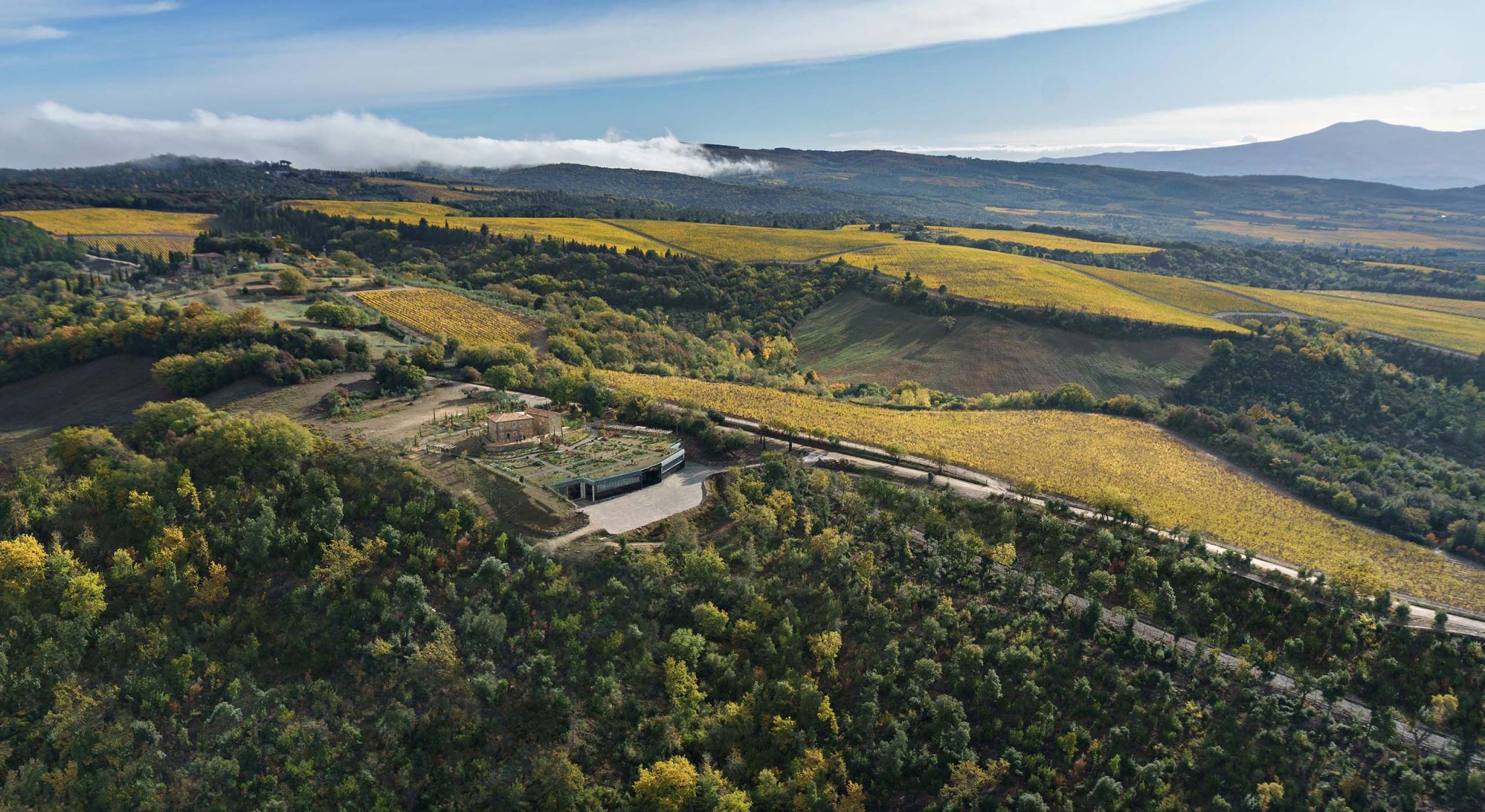 Luce 2015 Magnum - vins | wine & spirits online store