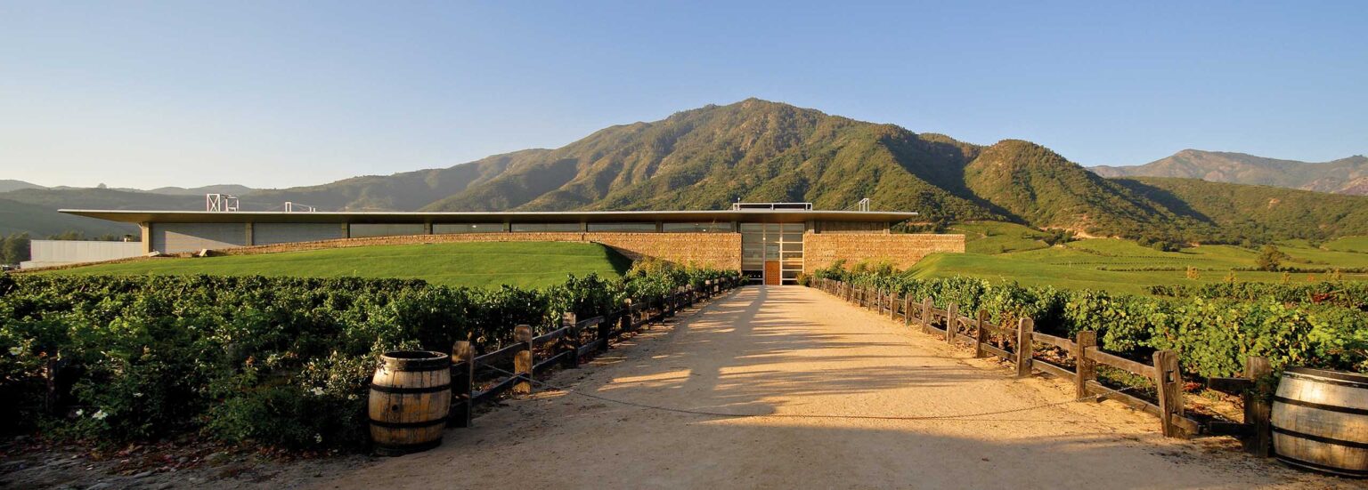 Montes Wines Icons Montes Alpha M 2013 - vins | wine & spirits online store
